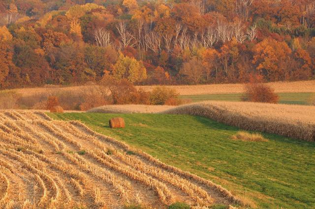 Photo Gallery - Wisconsin Fall Colors - Wolf's Vision Nature Photography