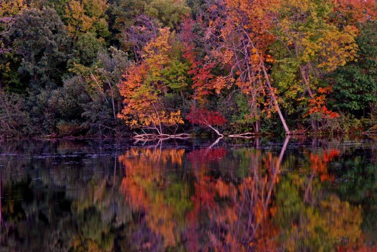 Wisconsin Fall Colors