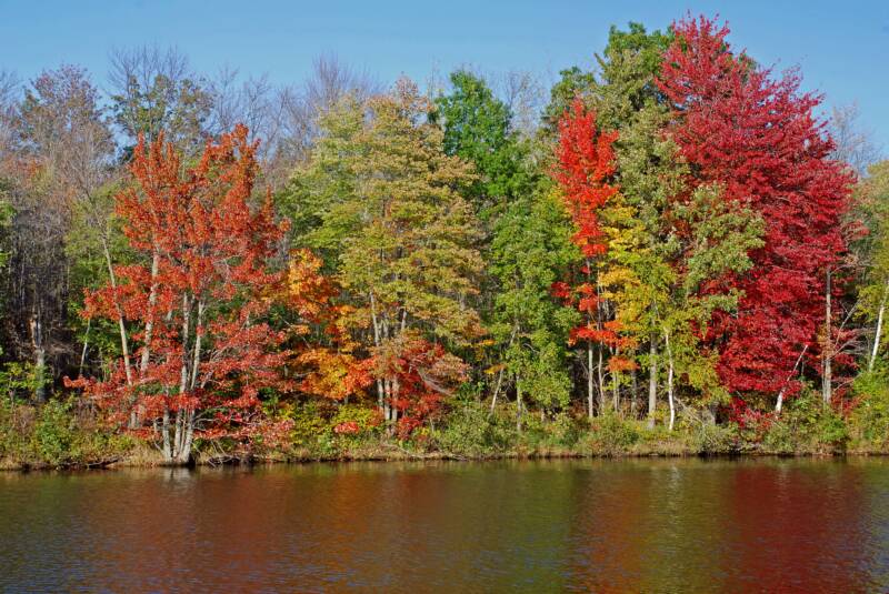 Photo Gallery - Wisconsin Fall Colors - Wolf's Vision Nature Photography