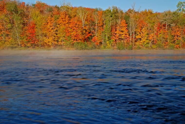 Photo Gallery - Wisconsin Fall Colors - Wolf's Vision Nature Photography