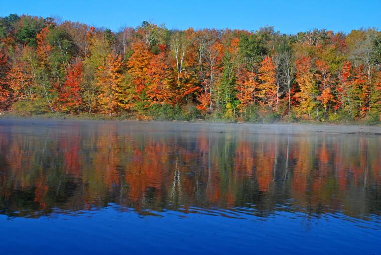 Photo Gallery - Wisconsin Fall Colors - Wolf's Vision Nature Photography