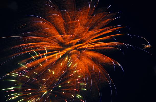 Recent Photos - Wolf's Vision Nature Photography