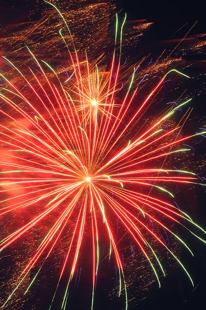 Recent Photos - Wolf's Vision Nature Photography