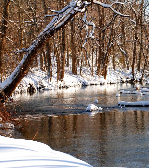 Nature Perpetual Calendar