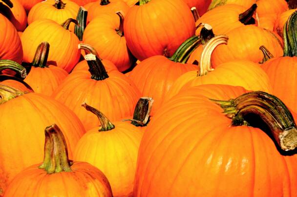 The photos on this website are the property of Brian Wolf. No copying ...