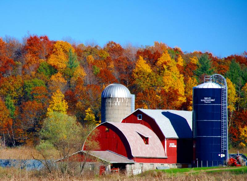 Photo Gallery - Wisconsin Fall Colors - Wolf's Vision Nature Photography